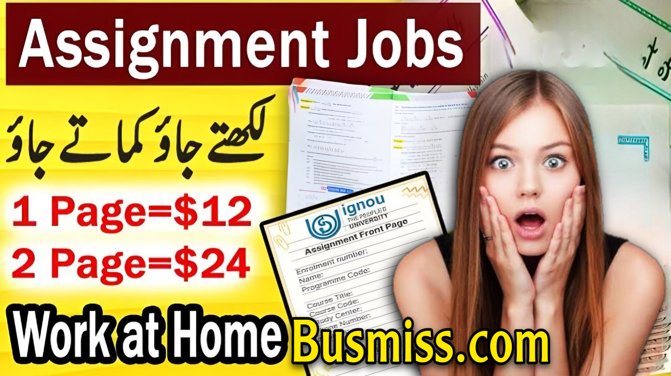 Work from Home Start Your Online Assignment Job